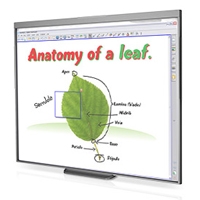 PIZARRON DIGITAL INTERACTIVO SMART BOARD SB480 77 PULGADAS***REQUIERE ...