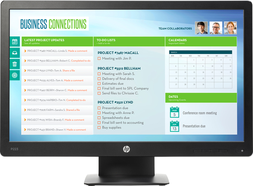 Monitor HP ProDisplay P223 21.5" 1920 x 1080 VGA (X7R61AA)